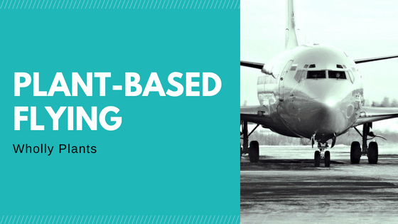 Healthy Plant-Based Flying and Traveling - Wholly Plants